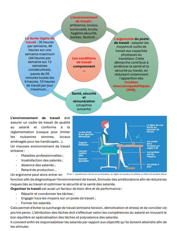 Bac STMG : Fiche de Révision RH et Communication – Guide Complet - Professeur Theros